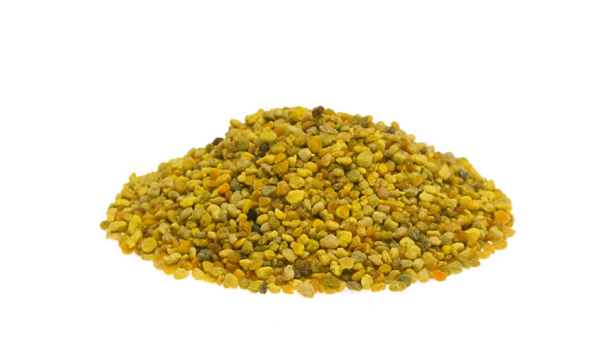 Pollen – Tentorium